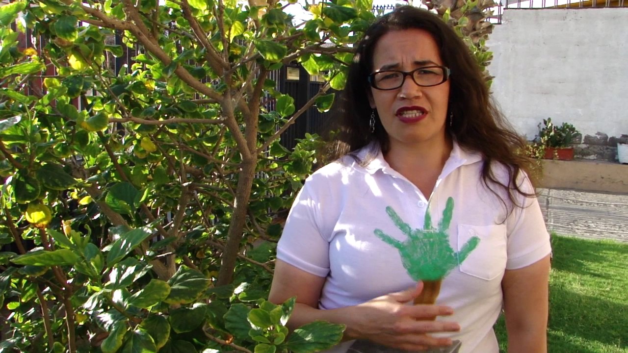 Elevator Pitch "Plastiadobe" Lorena Gamboa - YouTube