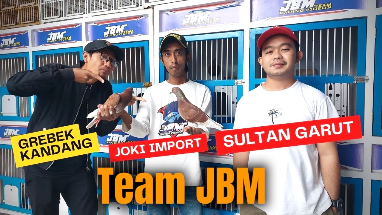 SULTAN GARUT !! Grebek Kandang Merpati Balap Sprint TERMAHAL !! Team JBM Garut - YouTube
