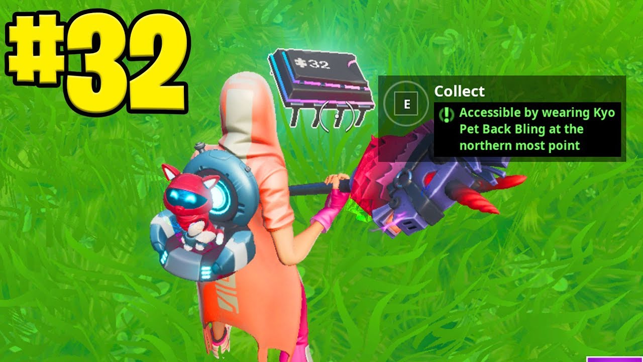 Fortbyte #32 Accessible by wearing Kyo Pet Back Bling at the northern ...