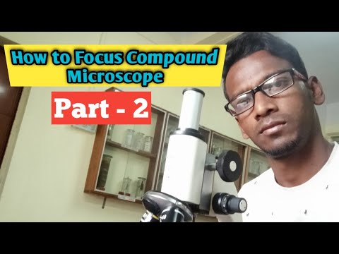 How to adjust focus in Compound Microscope - YouTube