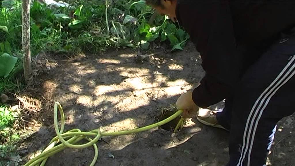 PRONALAZENJE VODE U BIH - SARAJEVO - Svrakino - YouTube