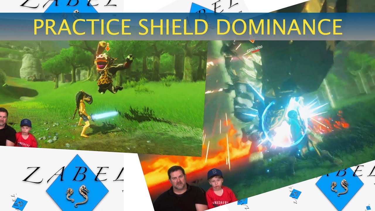 PRACTICE SHIELD DOMINANCE | BOTW Master Mode (Featuring the Flying ...