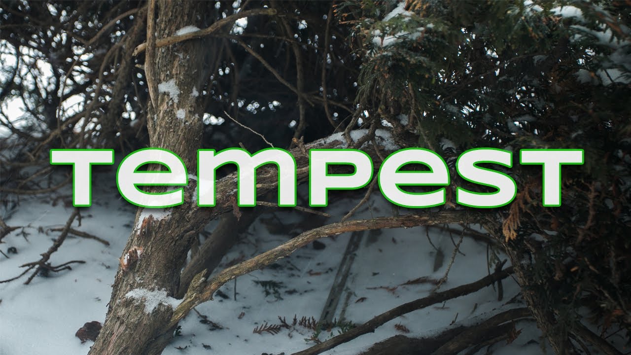 TEMPEST | House Playlist - YouTube