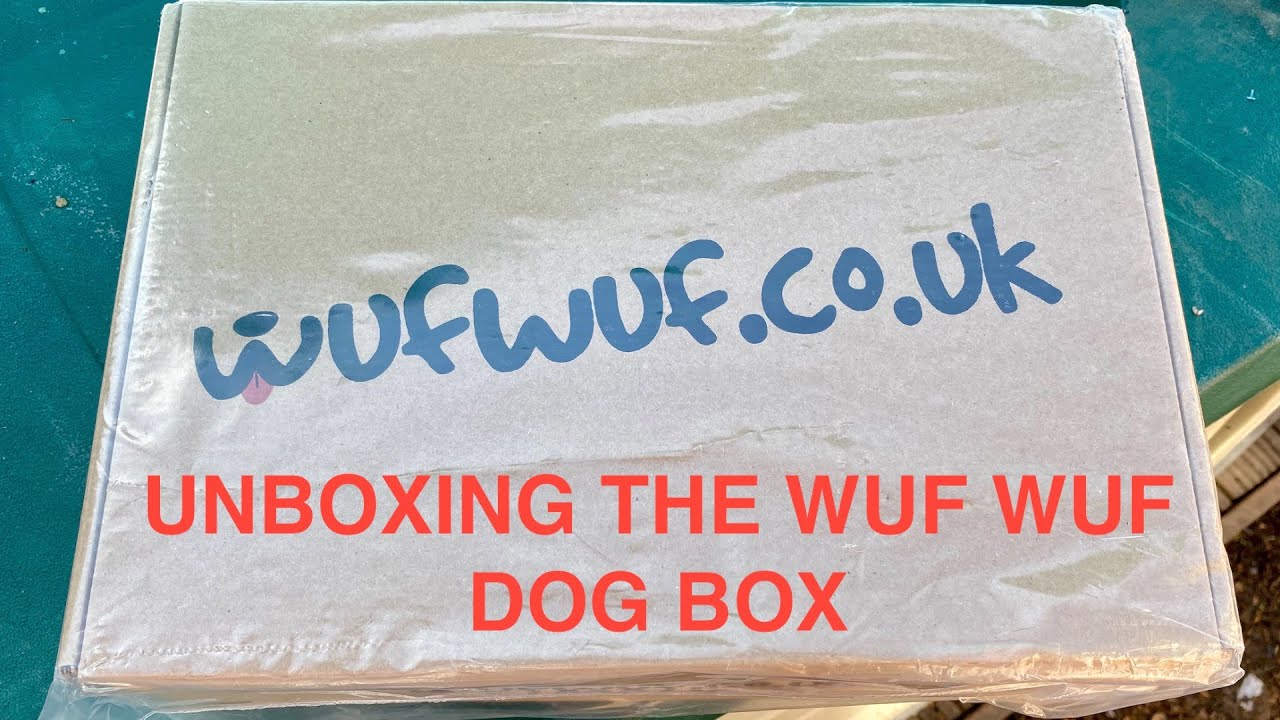 Unboxing The WUF WUF Subscription Box - YouTube