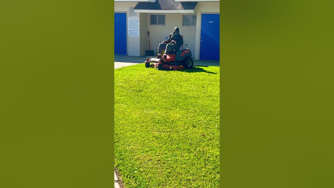 The Meaning Of Mowing A Lawn shorts stripes YouTube the-meaning-of-mowing-a-lawn-shorts-stripes-youtube