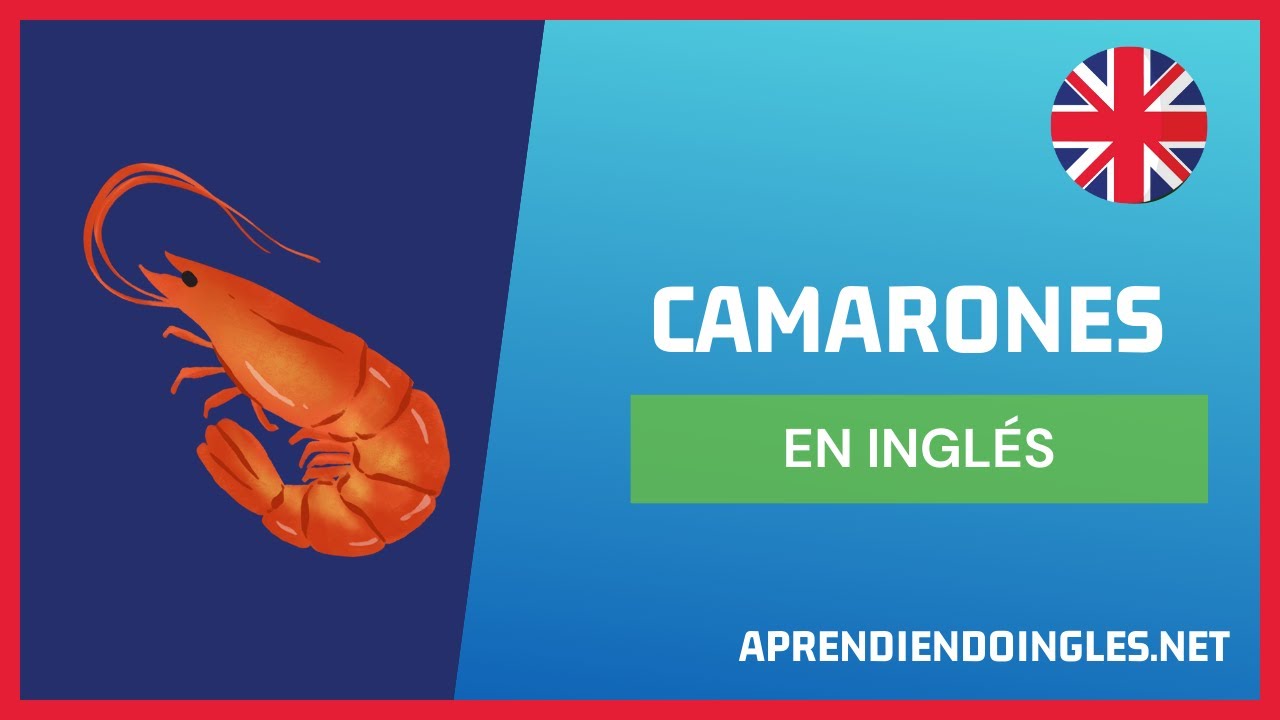 CÓMO se dice CAMARONES en INGLÉS 2023🚀APRENDE A ESCRIBIR SHRIMP ...