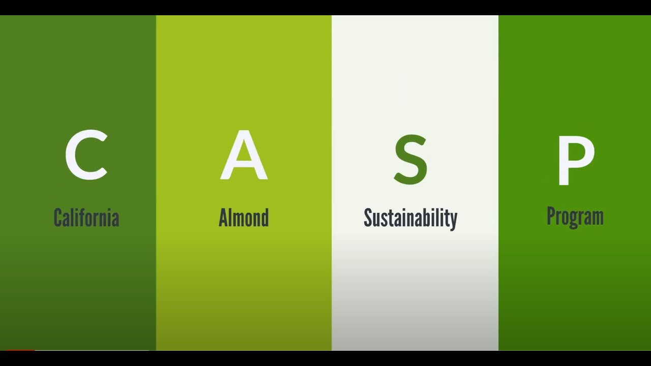 CASP Overview and Dashboard Tutorial - YouTube