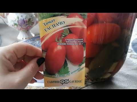Томаты "Гаспачо". Обзор семян томатов от агрофирмы Гавриш - YouTube