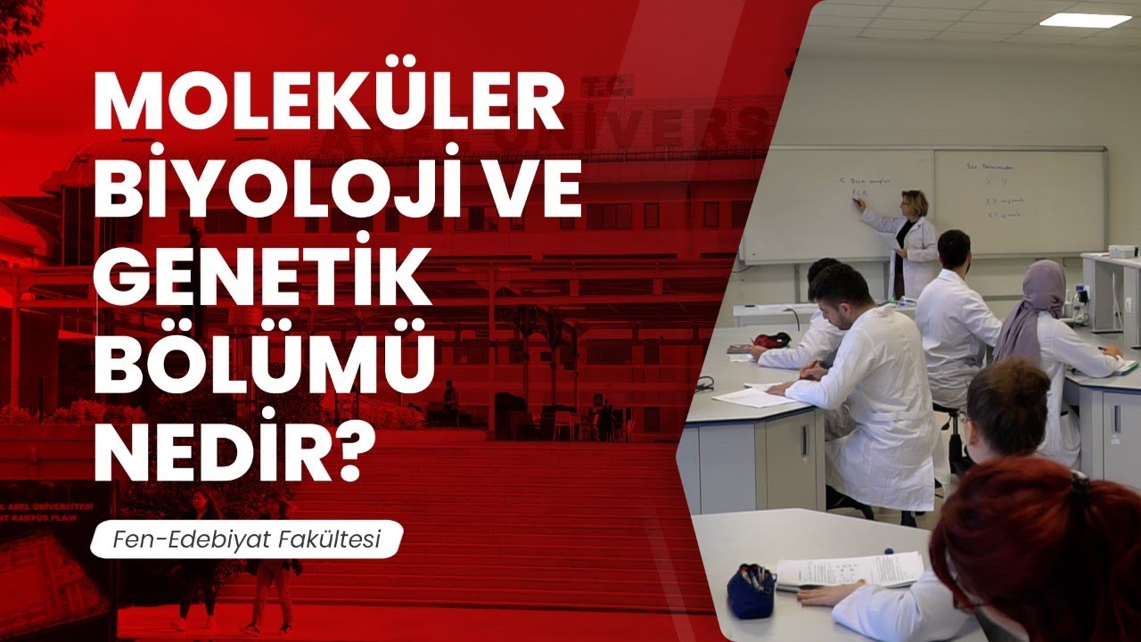 Moleküler Biyoloji ve Genetik Bölümü Nedir? - YouTube