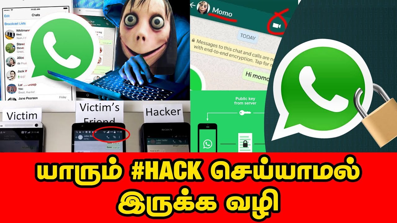 Nobody Can Hack Your Whatsapp Whatsapp Tips And Trick Apps Hacking