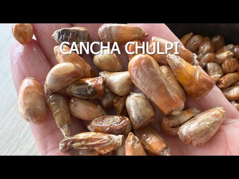 CANCHA CHULPI 😋 | PERUVIAN CORN | PERUVIAN SNACK 👏🏻 - YouTube