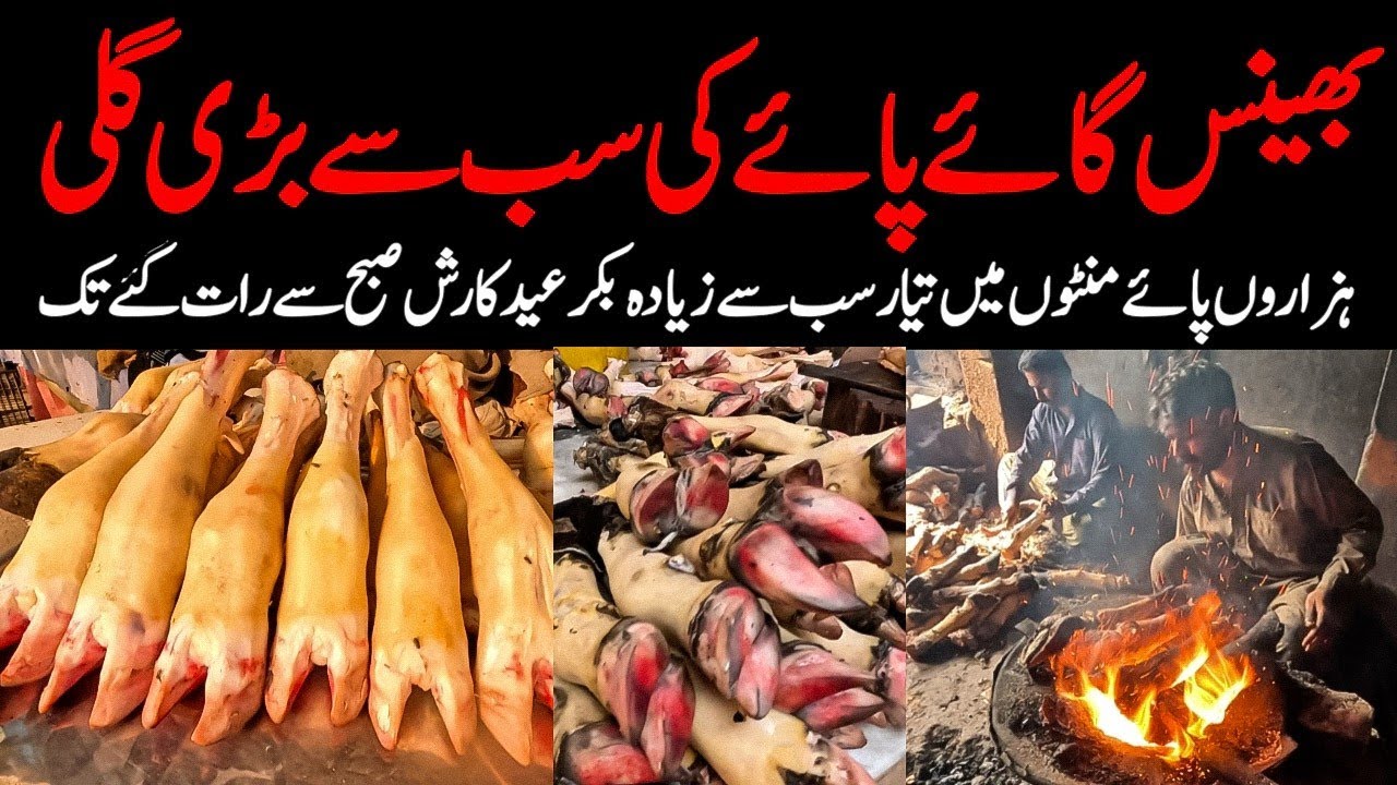 Nanakwara Karachi Beaf and buffalo paya making process Small business ...