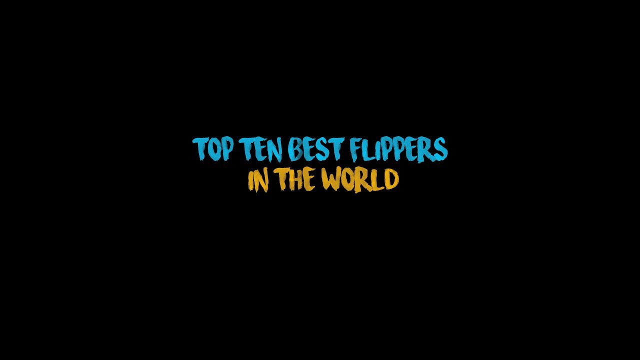The Top Ten Best Flippers in the World (Voted By You) - YouTube