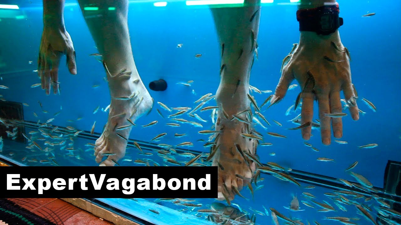 Fish Pedicure Benefits