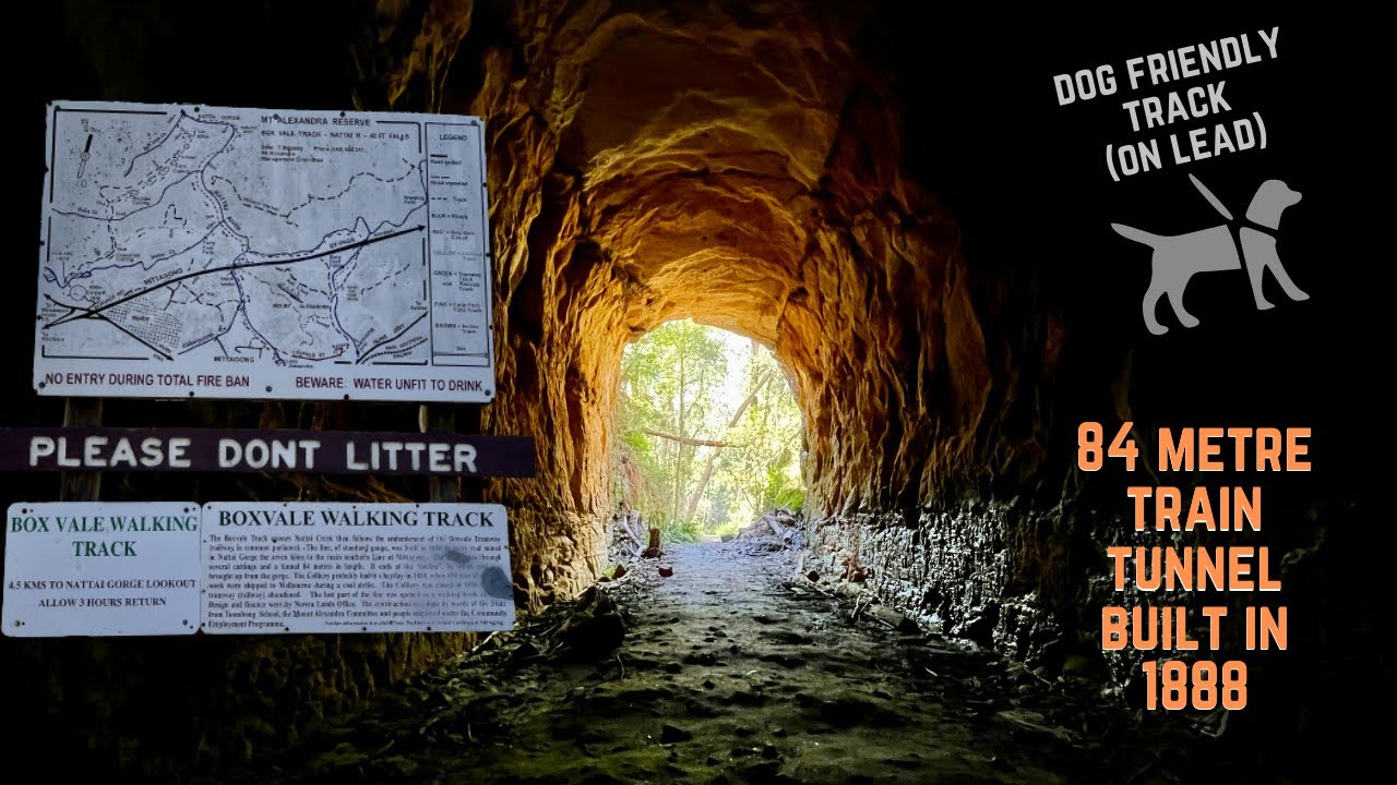 Boxvale Walking Track LOCOMOTIVE TUNNEL built 1888 5KM hike 15000 steps ...