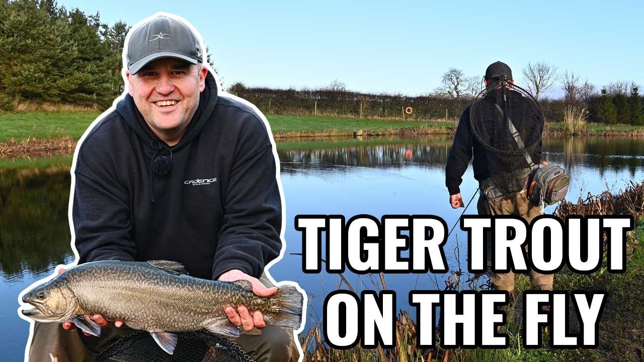Tiger Trout Fishing at Sharpley Springs - YouTube