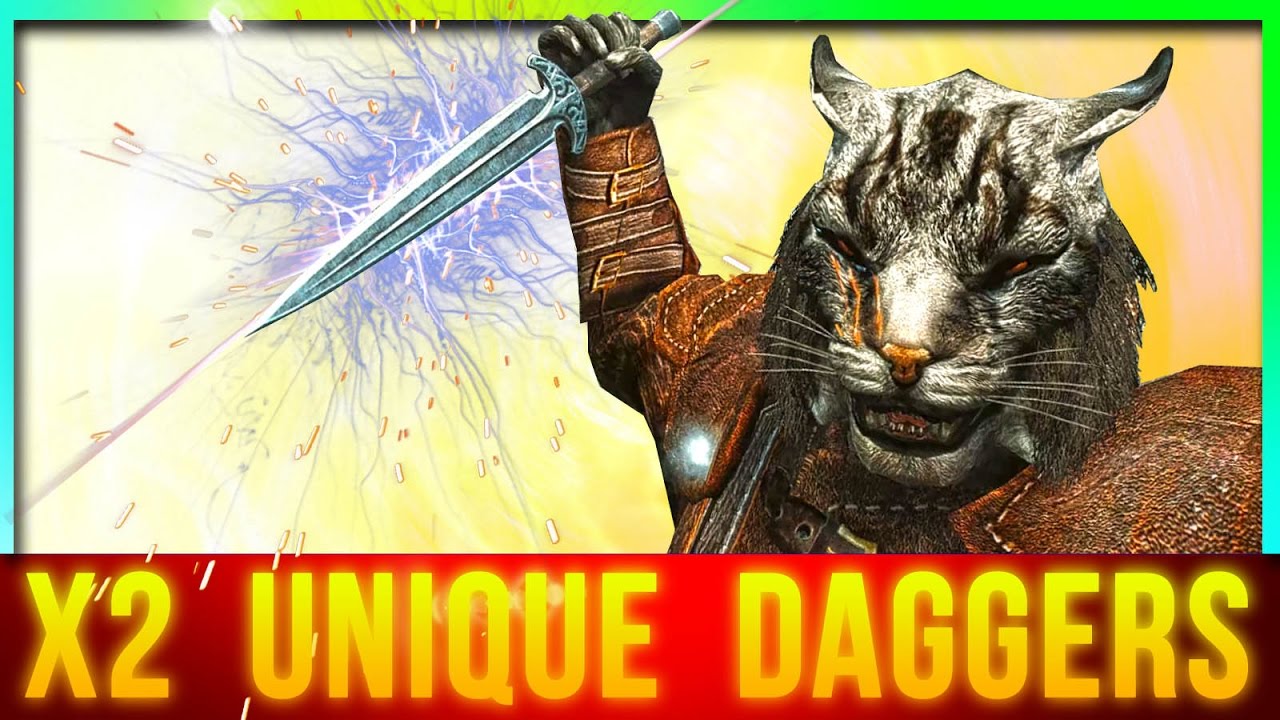 Skyrim Best Weapon at Level 1 for FAST Attacks Dual Wielding (2 Unique ...