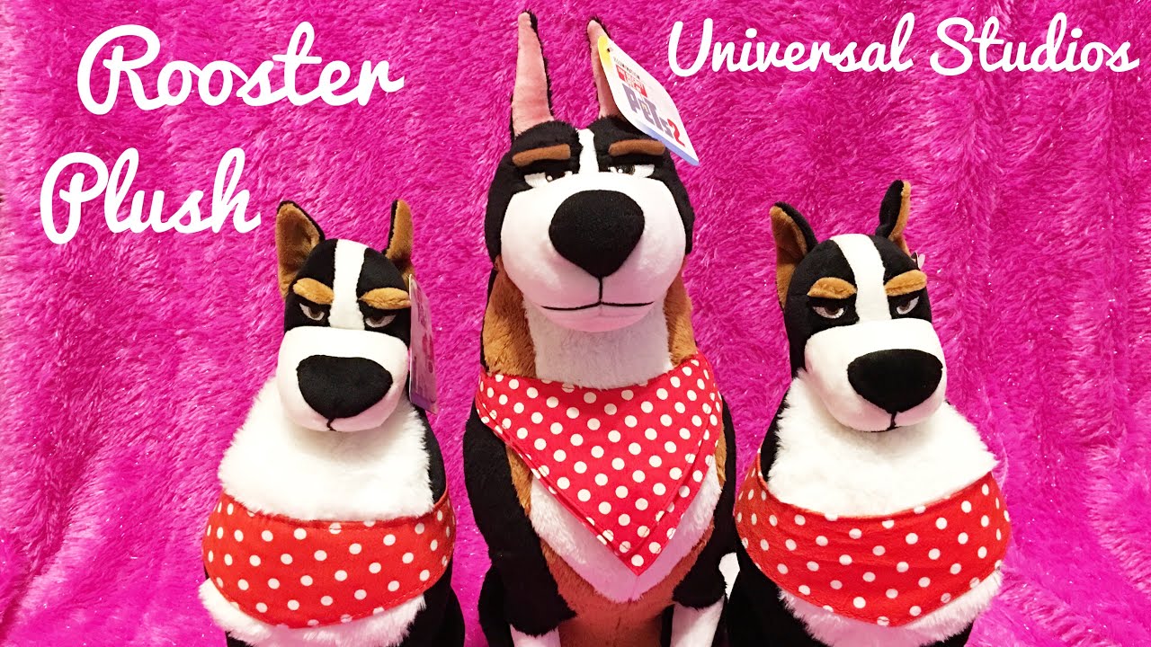 Universal Studios Rooster Plush Review! 🐕 - YouTube