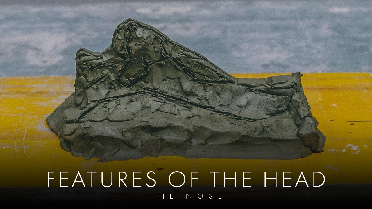 Features Of The Head - The Nose - Excerpt - YouTube