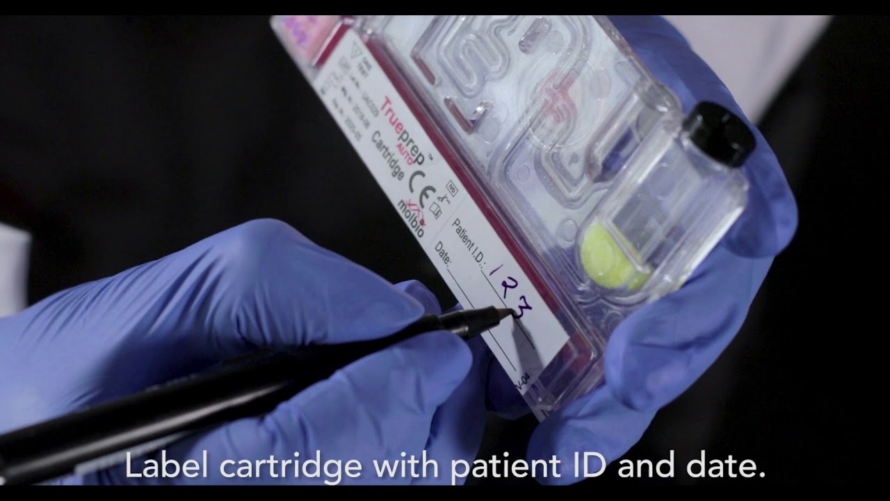 Molbio Trueprep Auto Final 2020 - YouTube