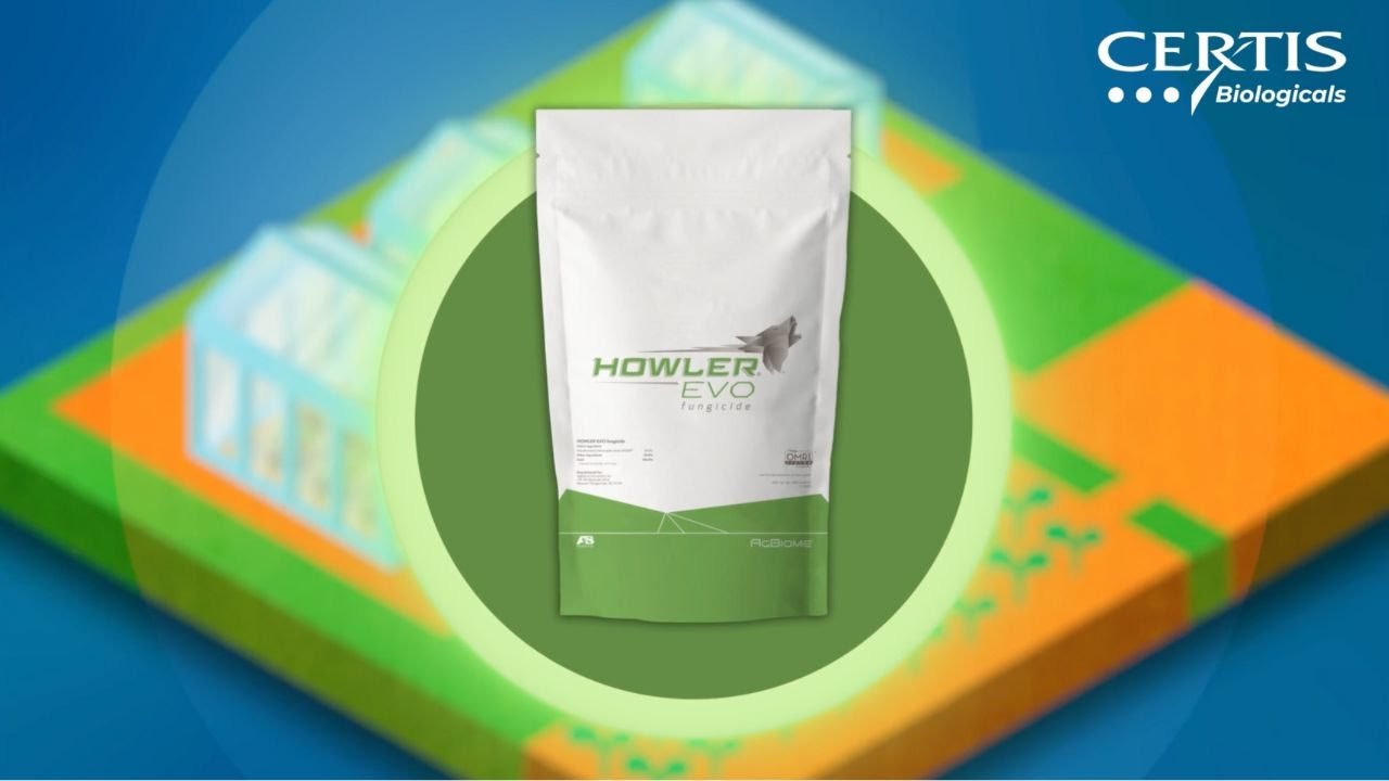 The Evolution of The Wolf | Howler EVO - YouTube