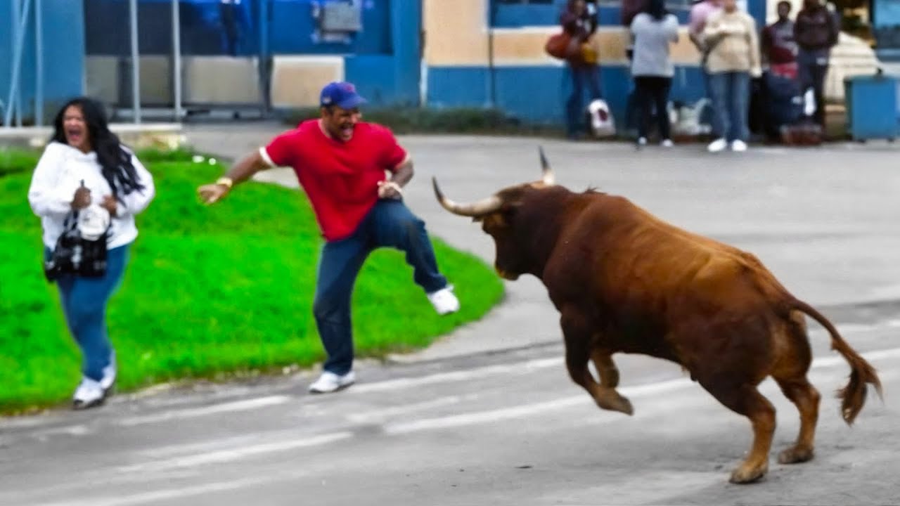 Angry Bull Spots Man Who Raised Him After 7 Years... Just Watch What It ...