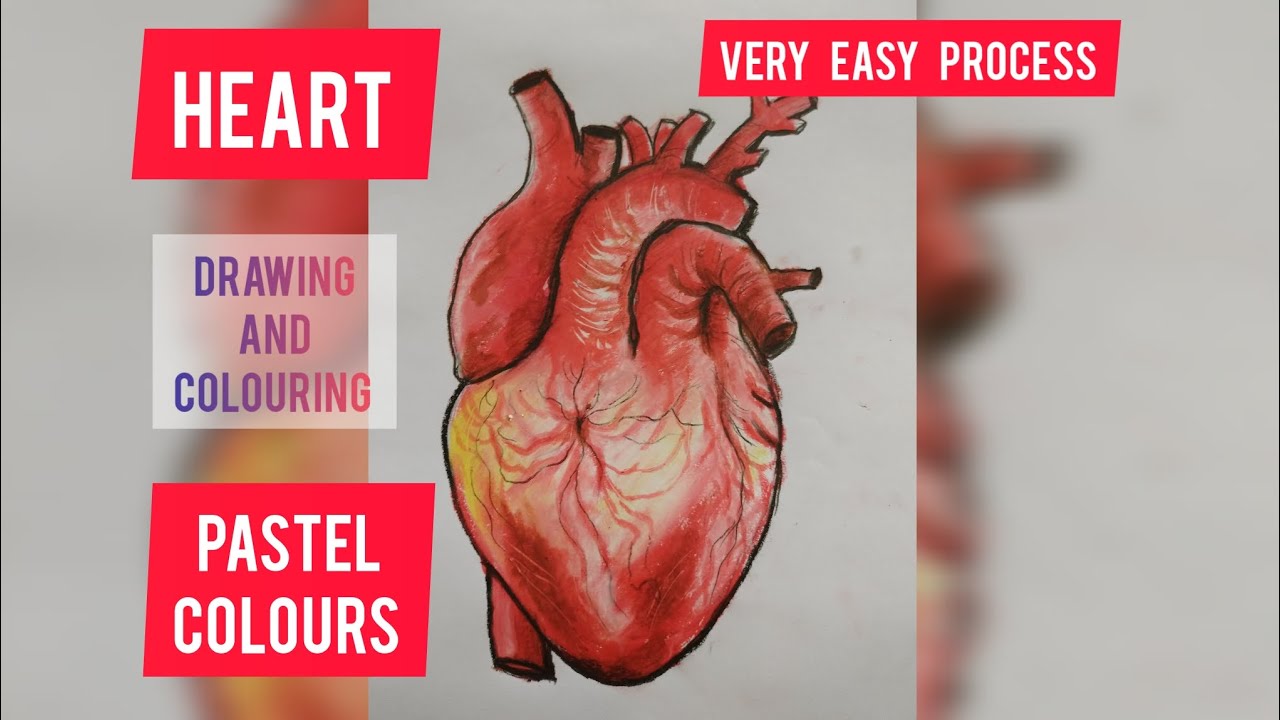 heart drawing easy||heart drawing easy step by step||heart drawing 3d ...
