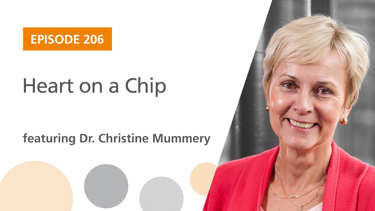 Heart on a Chip featuring Dr. Christine Mummery | The Stem Cell Podcast ...