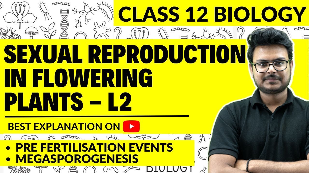 cbse-class-12-sexual-reproduction-in-flowering-plants-pre