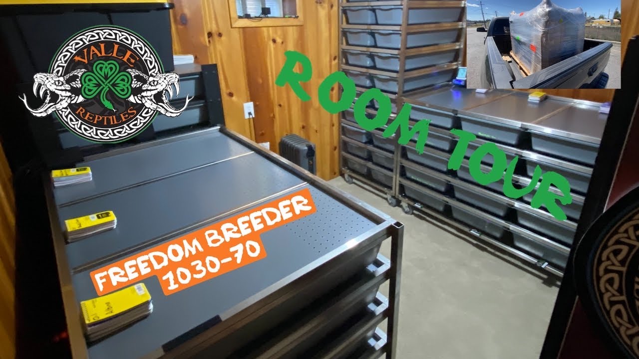 Freedom Breeder 1030-70 Pickup and Facility Tour + Ball Pythons - YouTube