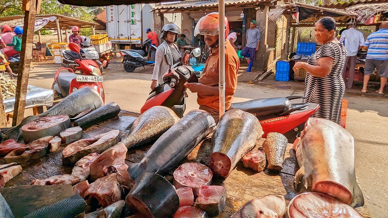 WoW Beautiful Village Fish Market Fresh Fish - YouTube