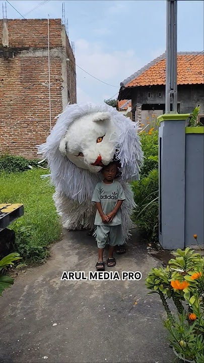 Lagi jalan sendirian bocil ff dimakan can macanan - YouTube