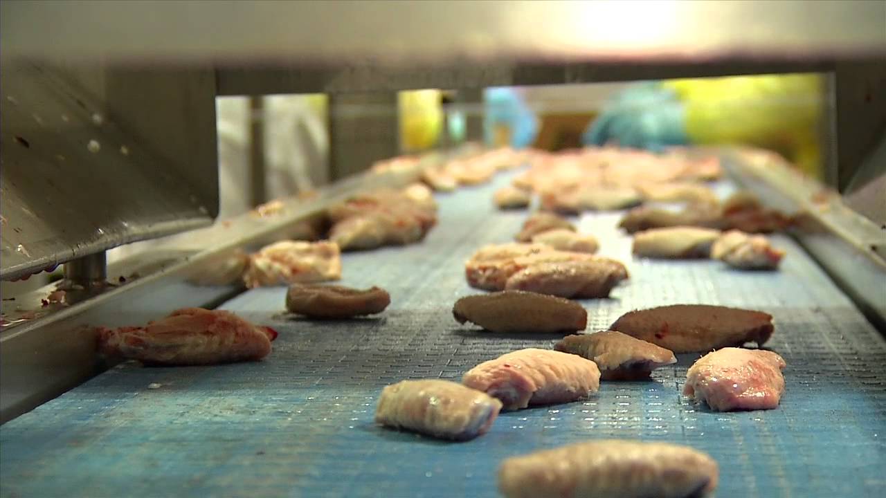 Meyn® Middle Wing cutter - YouTube