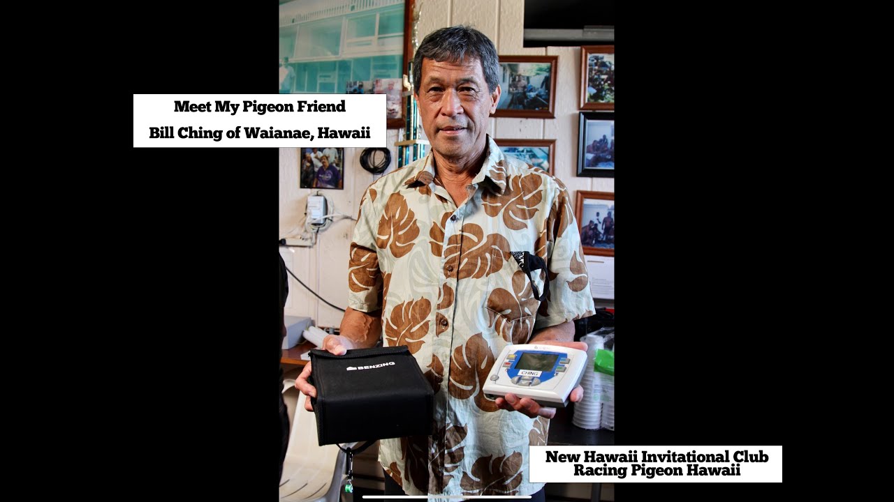 Racing Pigeon Hawaii - Bill Ching of Waianae - YouTube