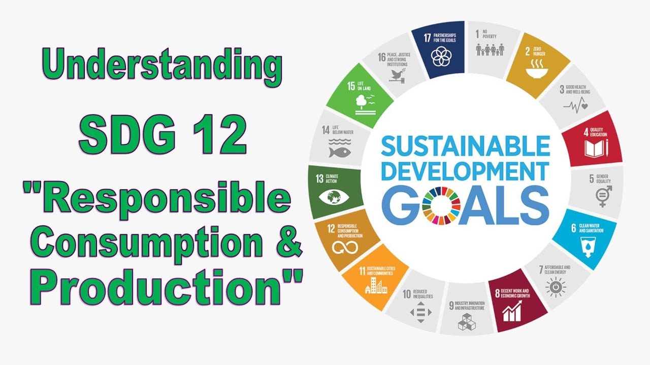 What is SDG 12? - Responsible Consumption and Production - YouTube