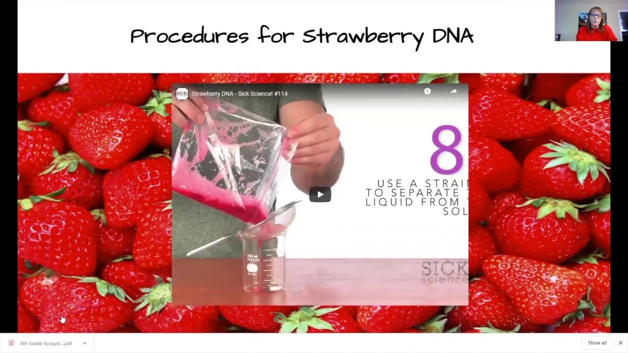 Science Sundays: Extracting DNA from a Strawberry (FULL EXPERIMENT ...