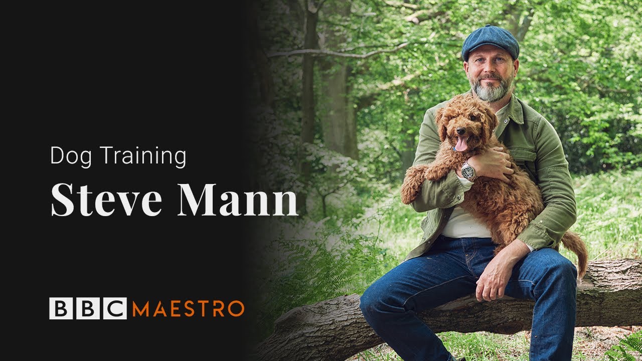 Introducing: Dog Training with Steve Mann – BBC Maestro - YouTube