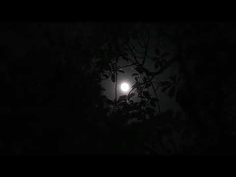 Alan Walker - Darkside ( Super Slowed And Reverb )