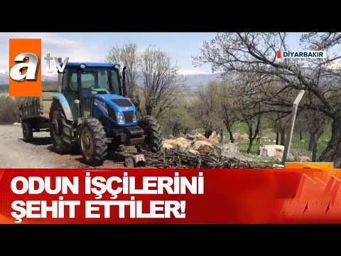 Odun işçilerini şehit ettiler! - Atv Haber 8 Nisan 2020