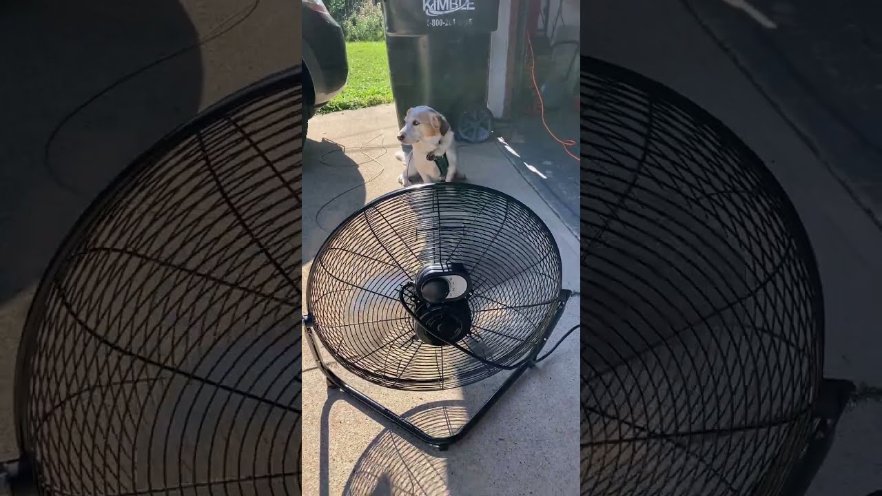 Big Industrial Fan Harbor Freight
