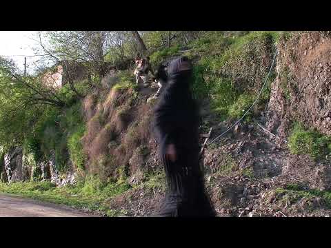 BİR OCAK HİKAYESİ