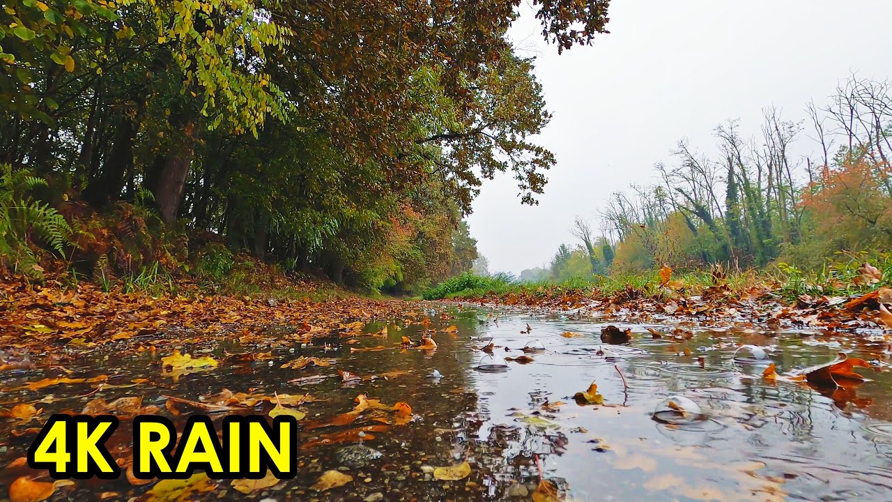4K Rain Footage (With Sound) No Copyright Background Video - Free Stock ...