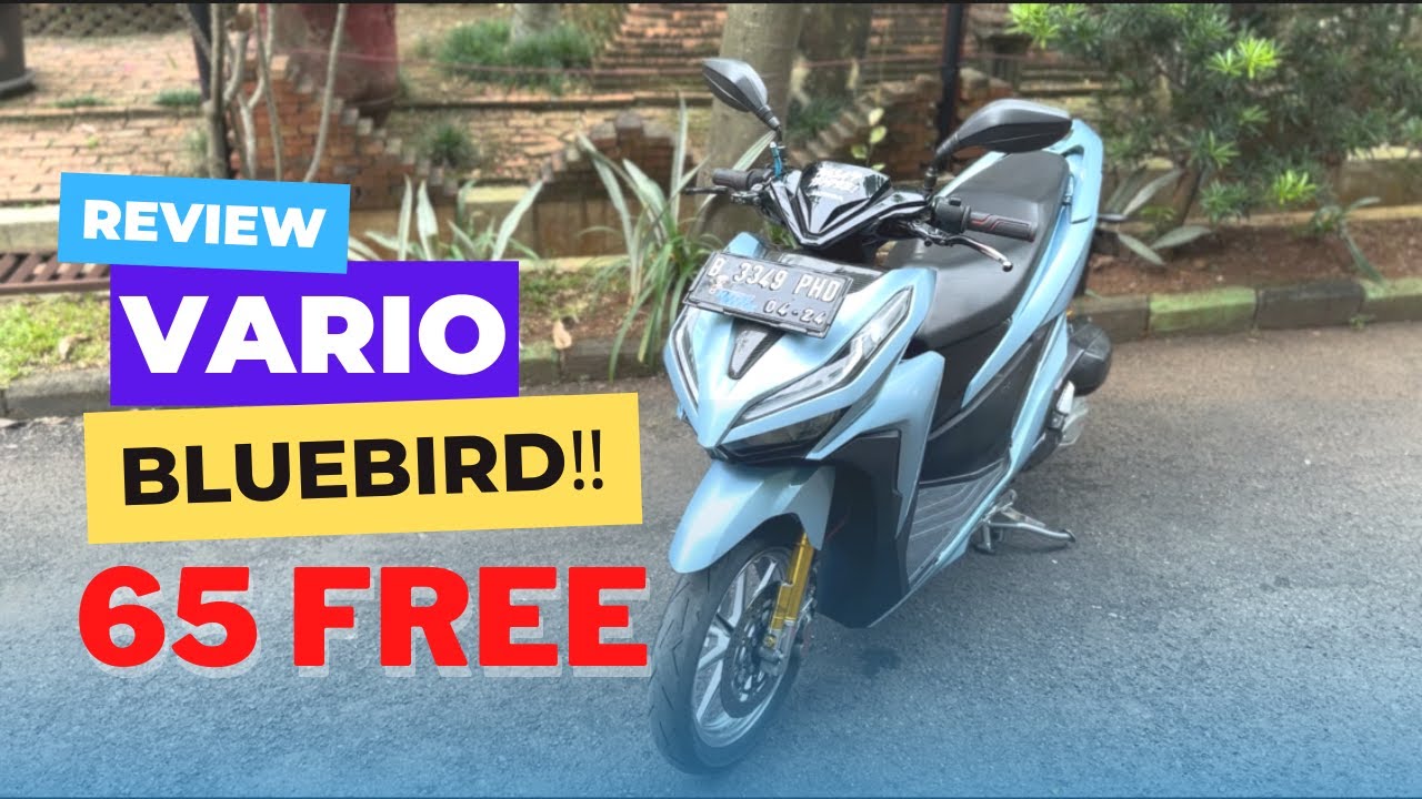 VARIO BLUEBIRD‼️ | 65 FREE WIFI | By Matsu Garage - YouTube