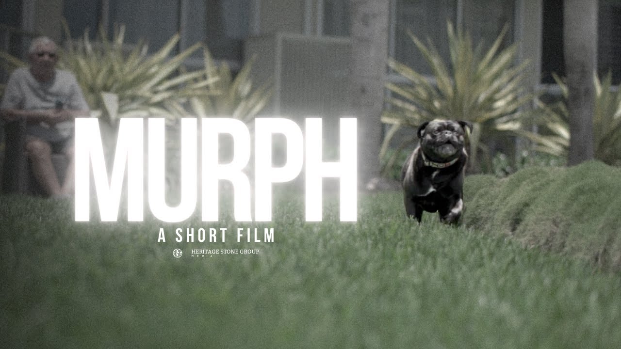 Murph | a day in the life of Jai Opetaia's dog - YouTube