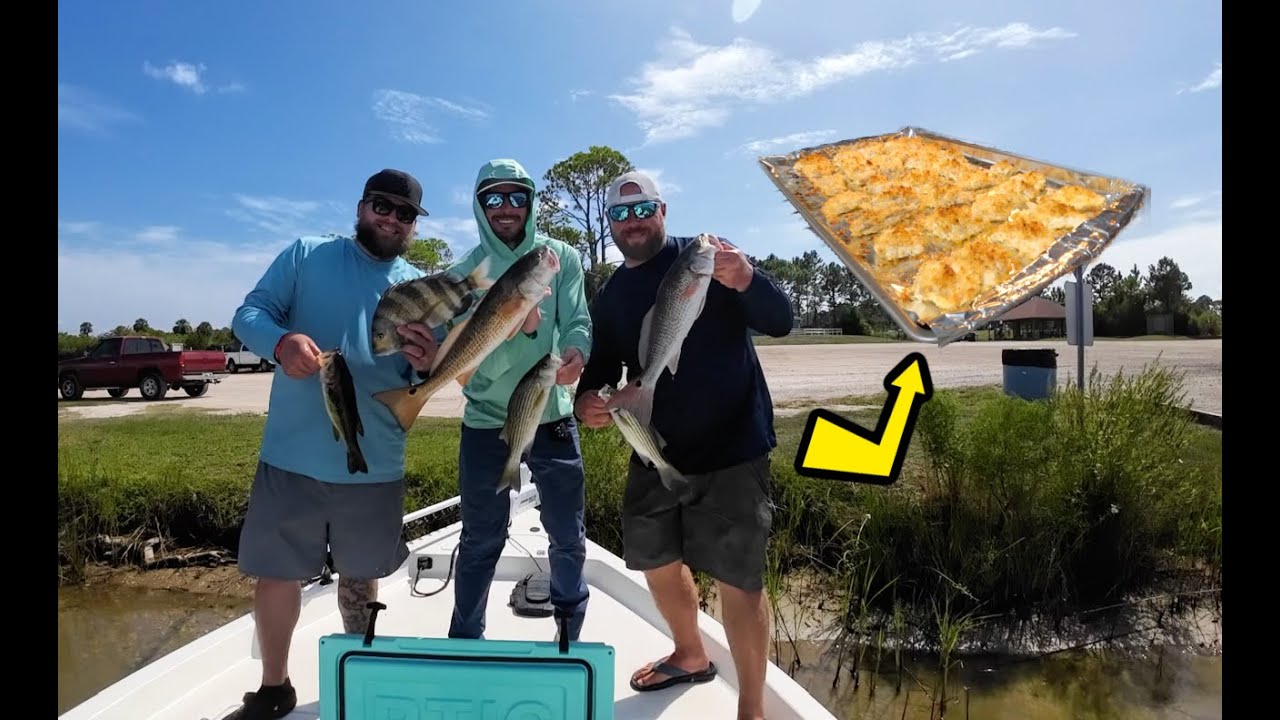 11 Species catch/cook minutes from the launch in Pensacola bay!! - YouTube