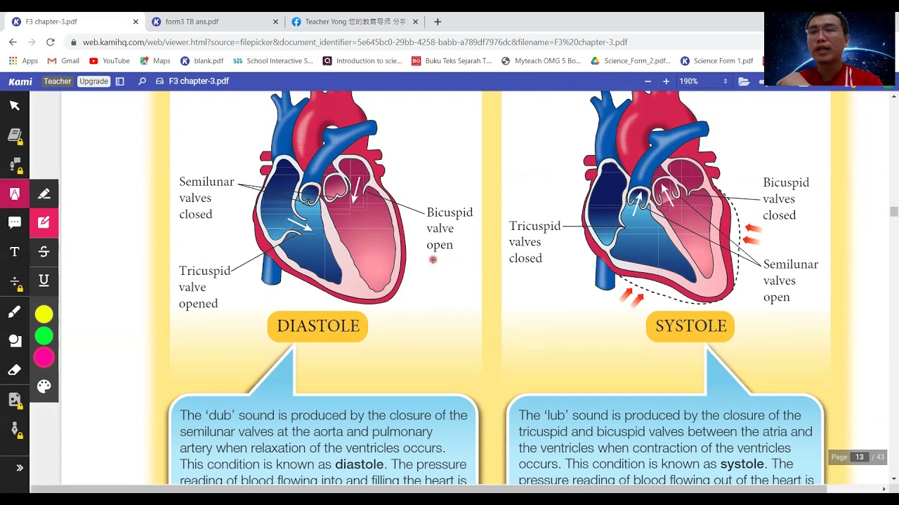 Form 3 KSSM Chapter 3.2 p2 华语解释(Structure and function of main blood ...
