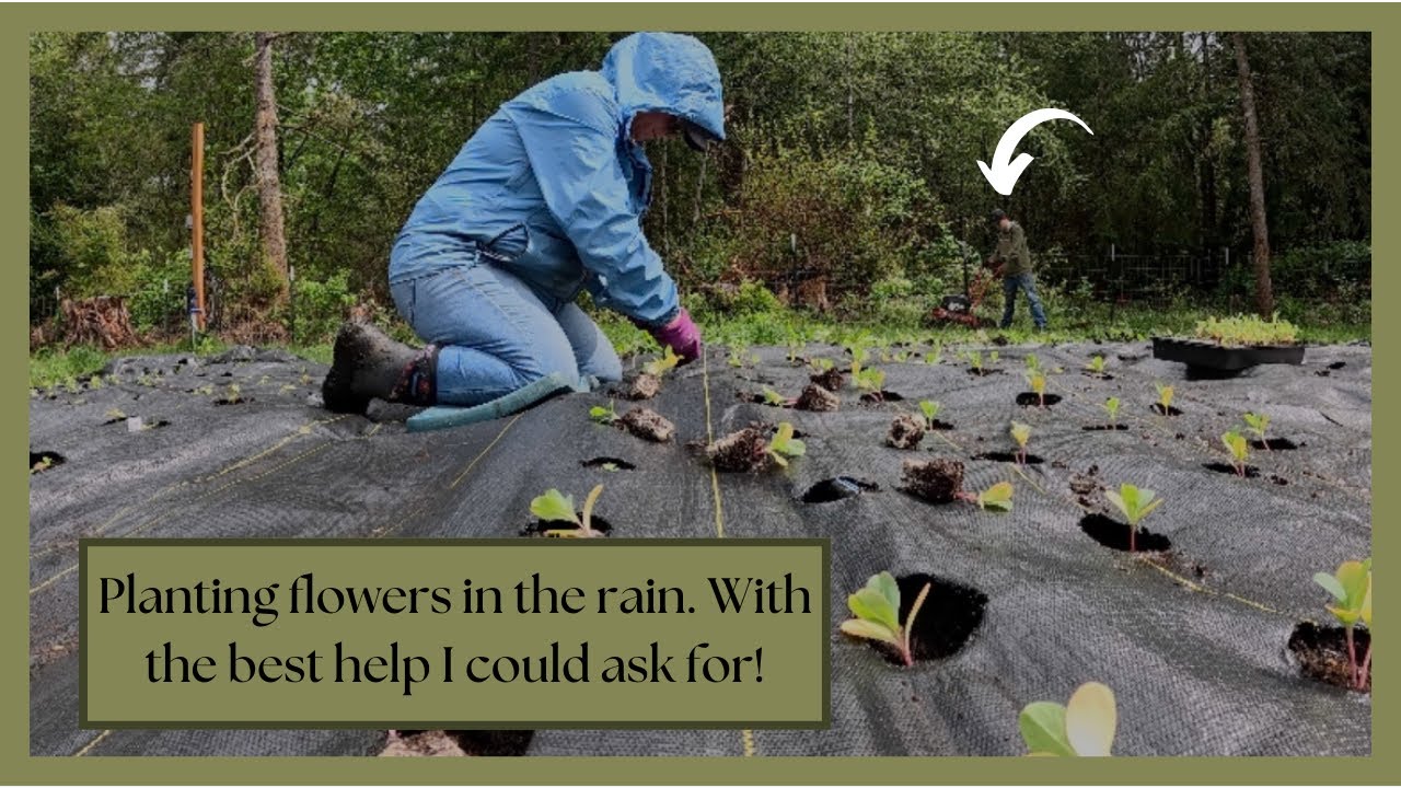 Rainy Day Gardening: Planting Flowers with a Helper for a Bountiful ...