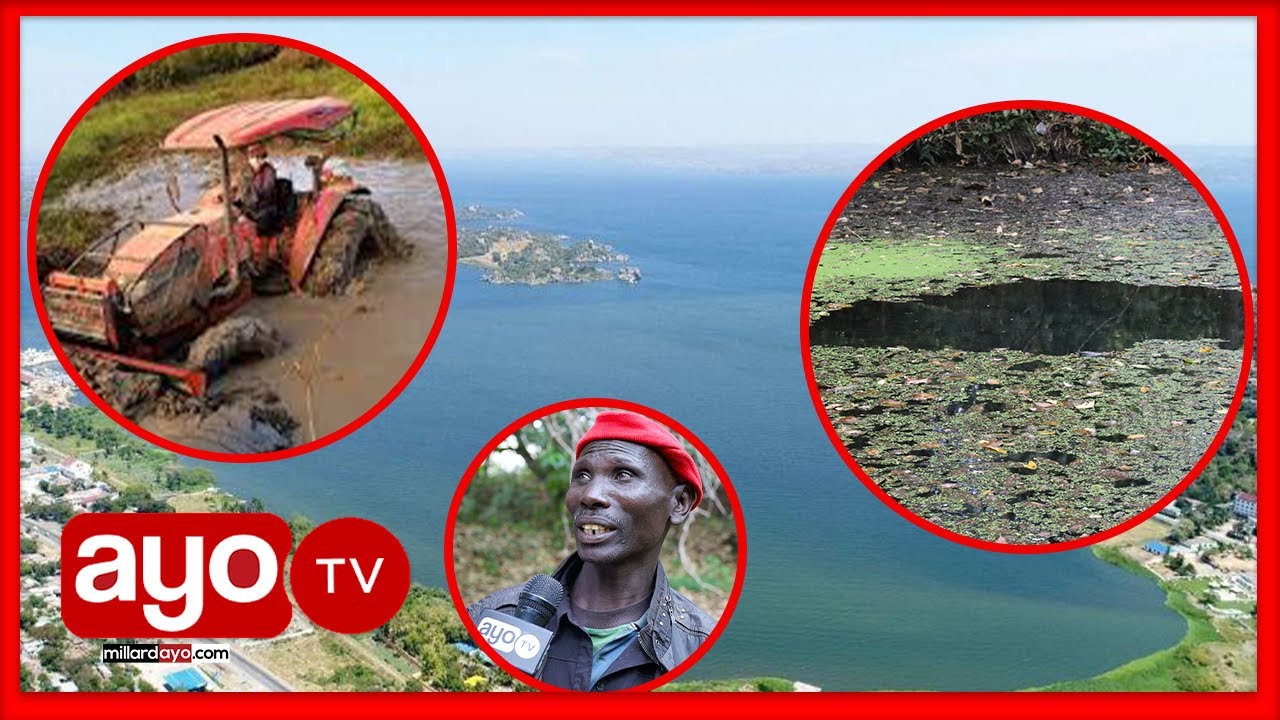 KISIMA CHA AJABU! TREKTA LAZAMA KISIMANI NA KUIBUKIA ZIWA VICTORIA ...