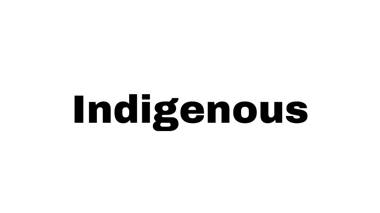 How to Pronounce Indigenous - YouTube
