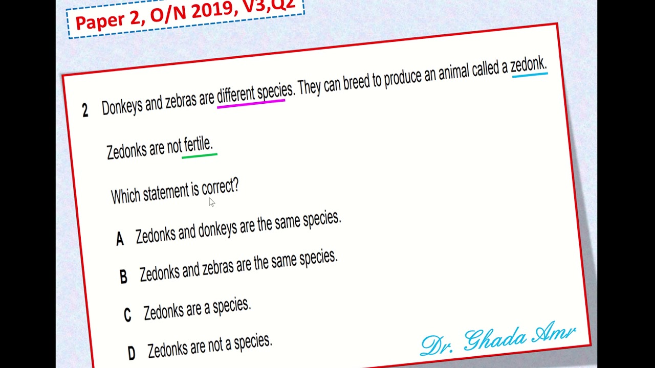 2019, Paper 2, Variant 3, question 2, Oct/ Nov - YouTube